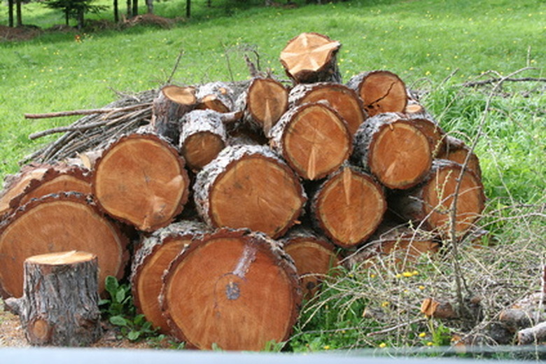 How To Use Trees From Your Land To Build A House