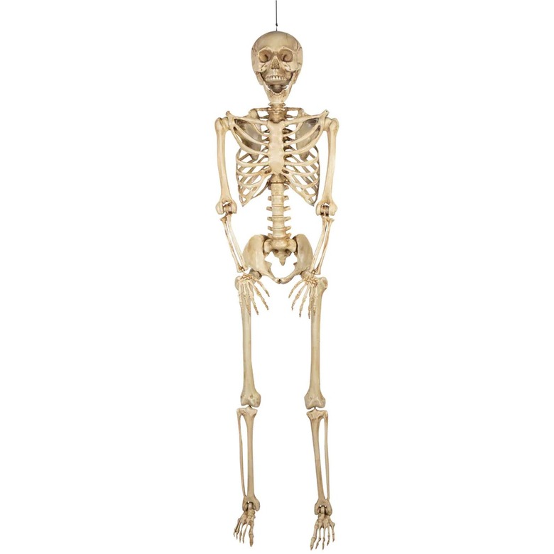 Love The Home Depot's Giant Skeleton? Try These Equally Spooky ...