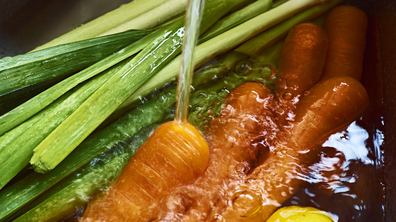 10 Surprising Ways You Can Use Hydrogen Peroxide In Your Garden And Yard