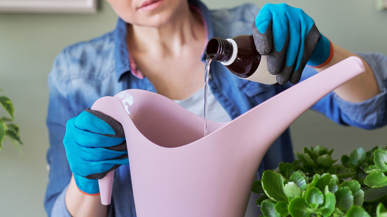 10 Surprising Ways You Can Use Hydrogen Peroxide In Your Garden And Yard