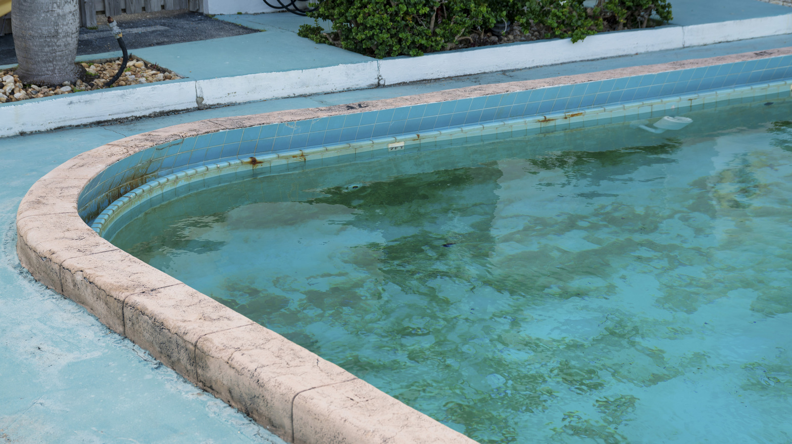 Check Your Pool For One Thing If The Walls And Floors Are Slippery And ...