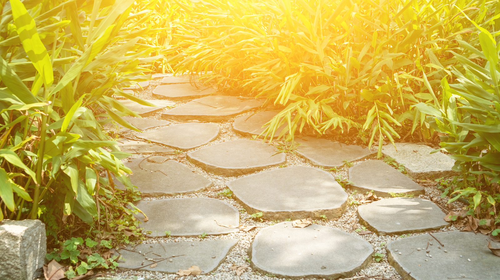 Old Milk Jugs Are The Secret To A Stunning Faux-Stone Garden Path On A ...