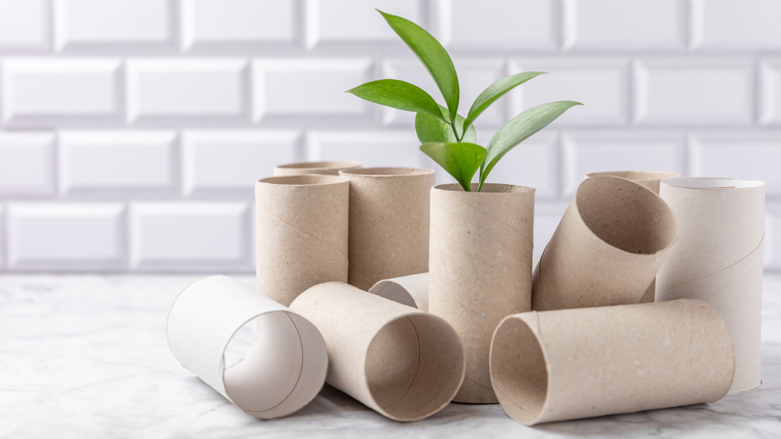How To Reuse Toilet Paper Tubes To Prevent Creased And Wrinkled Laundry