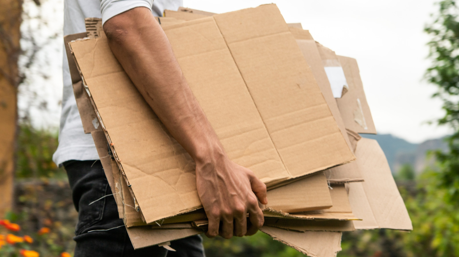 Don't Wait: Try This Money-Saving Cardboard Hack In Your Garden Before ...