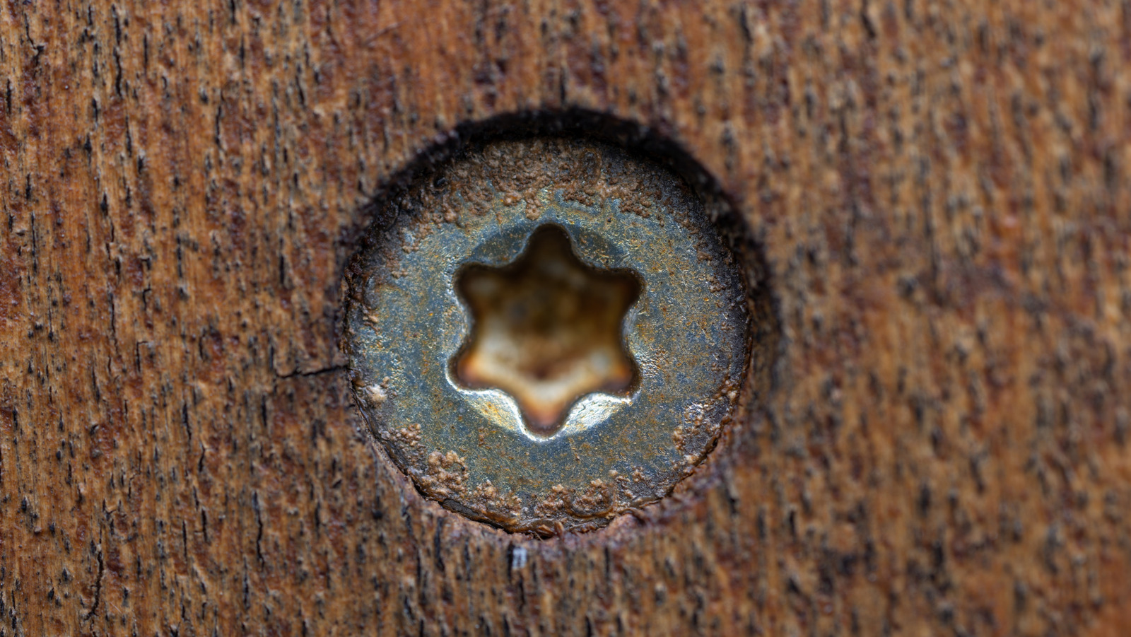 The Benefits Of Using Torx Screws For Your Home Projects