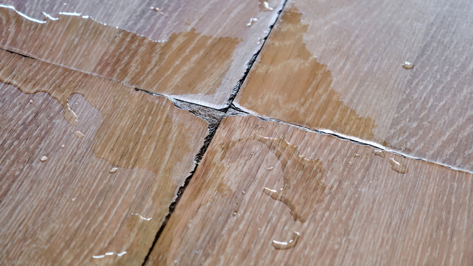 Is Mold Growing Underneath Your Flooring? Here's What To Look For To ...