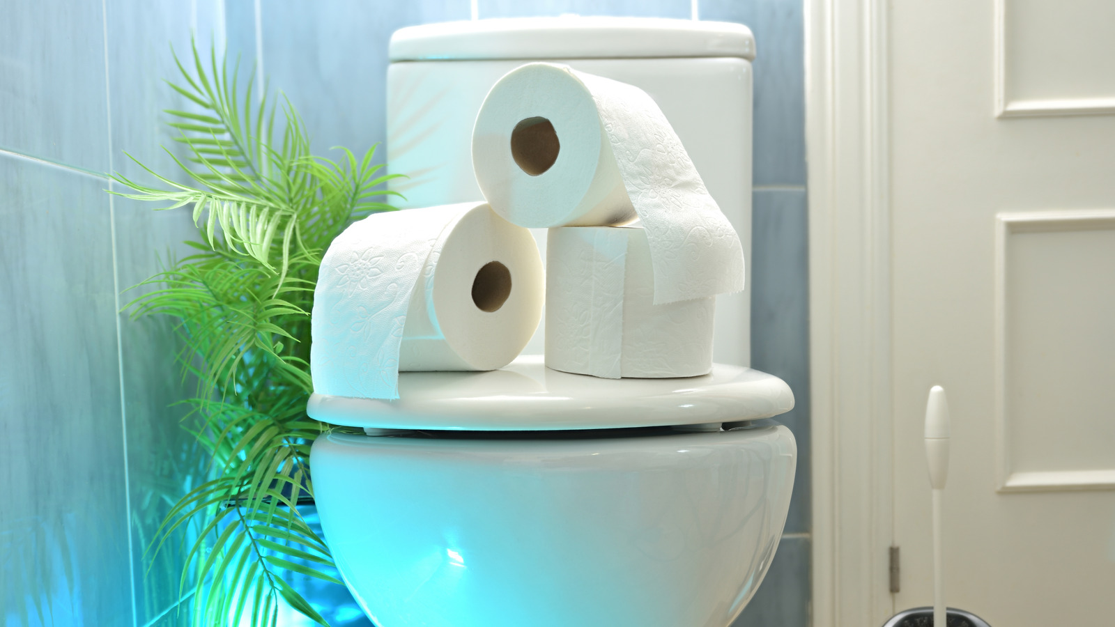 The Easy Hack For Storing Toilet Paper Without Baskets Or Shelves