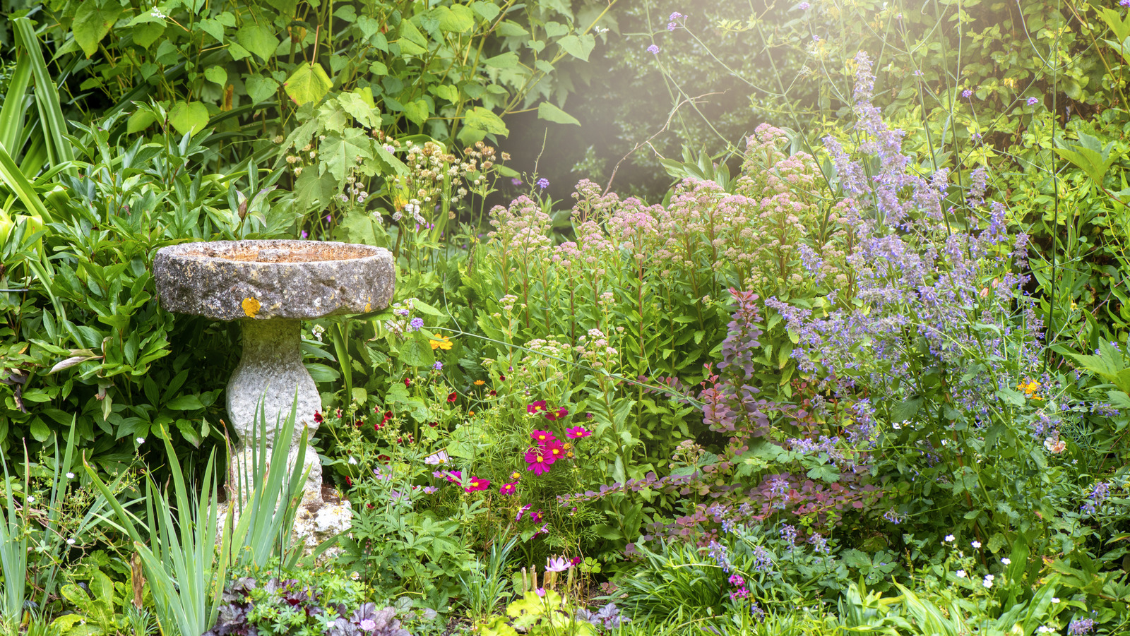 Plant Trends To Incorporate Into Your Garden In 2025