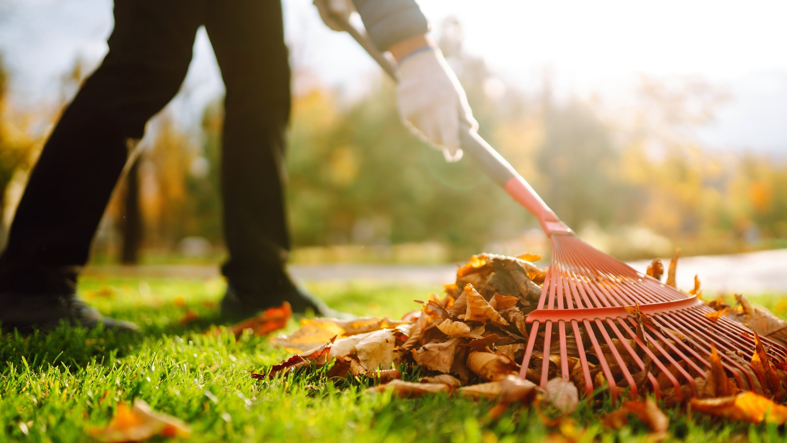 Raking Leaves Just Got Easier With This Handy Technique