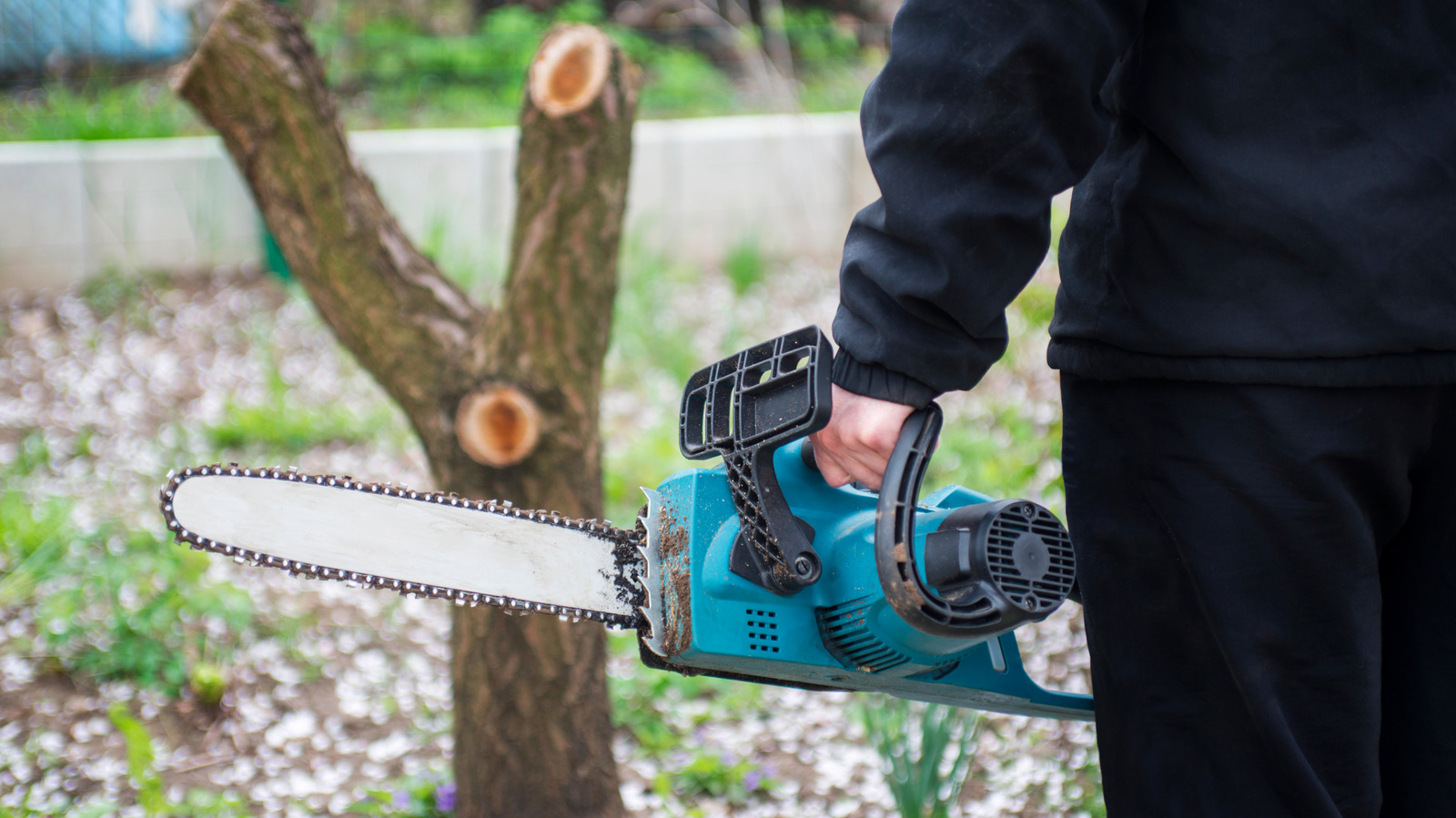 The Best Chainsaws For Beginners That Won't Break The Bank