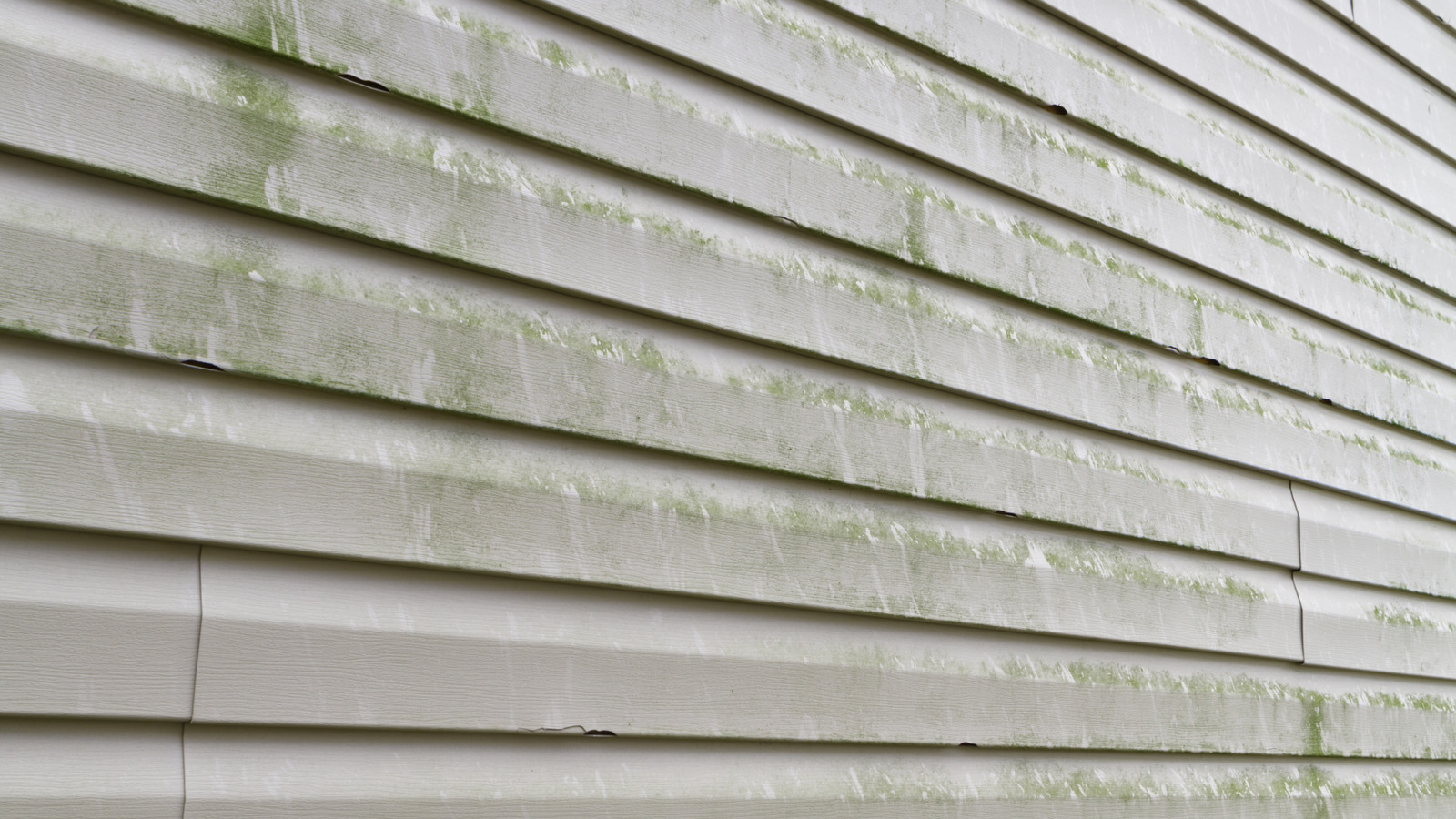 The Easy Trick To Cleaning Siding Without A Pressure Washer