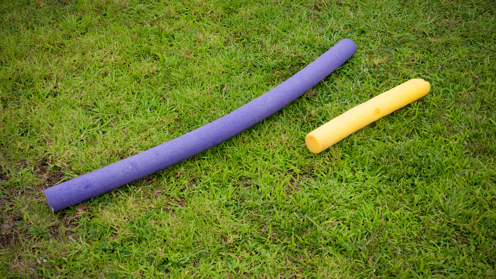 The Genius Pool Noodle Sprinkler Hack That Gives You A Greener Lawn On ...