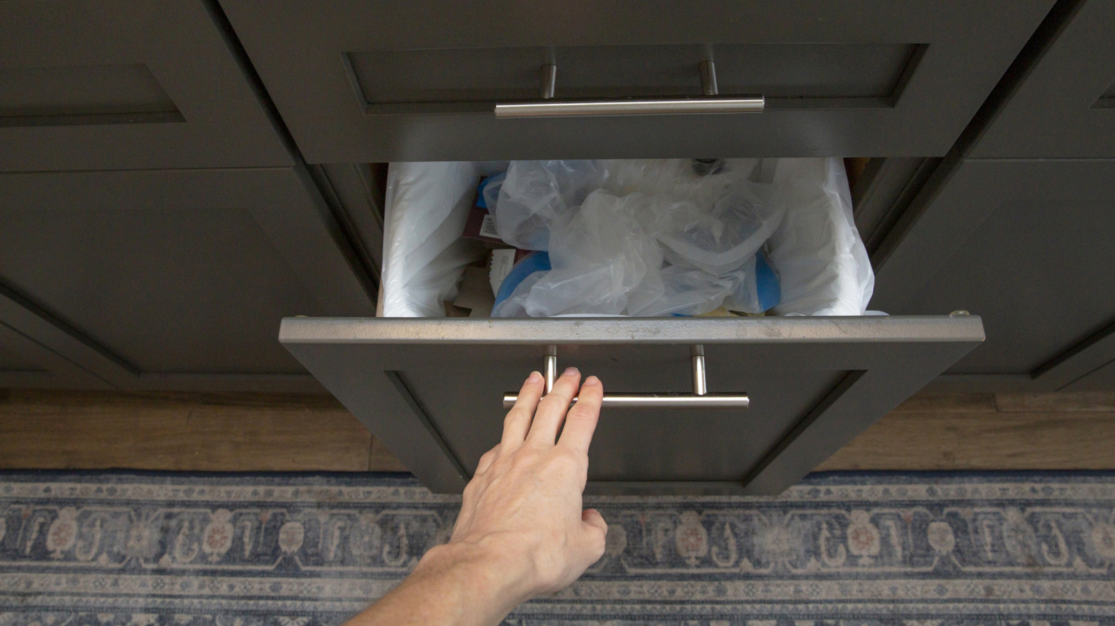 The Gross Downside Of Pull-Out Cabinet Trash Bins