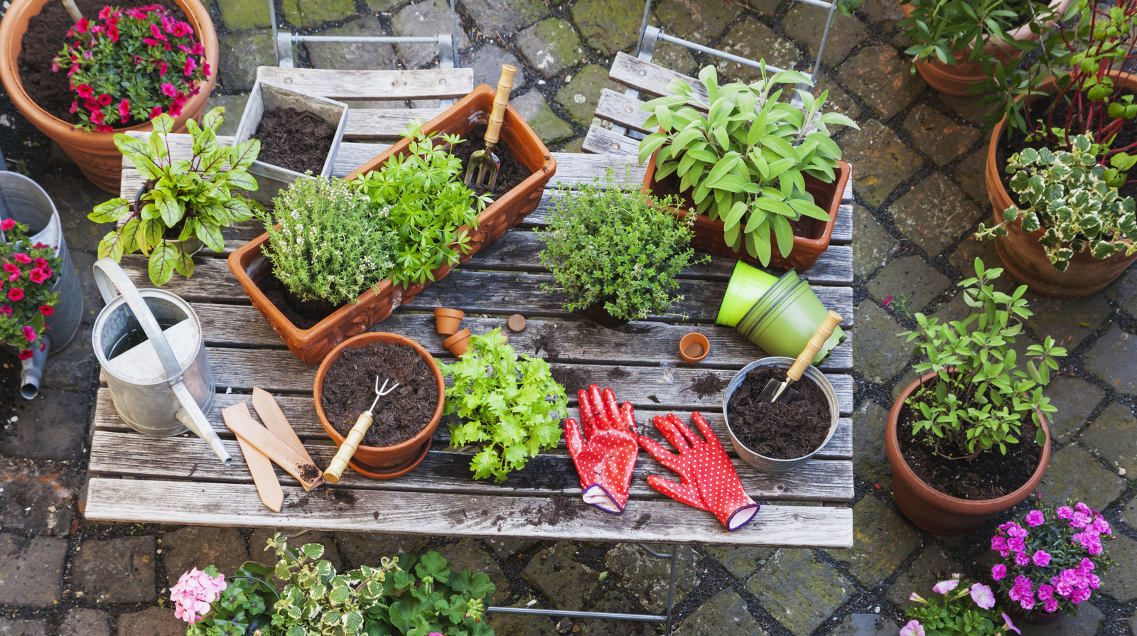 The IKEA VESKEN Cart Is The Perfect Solution For An Outdoor Herb Garden
