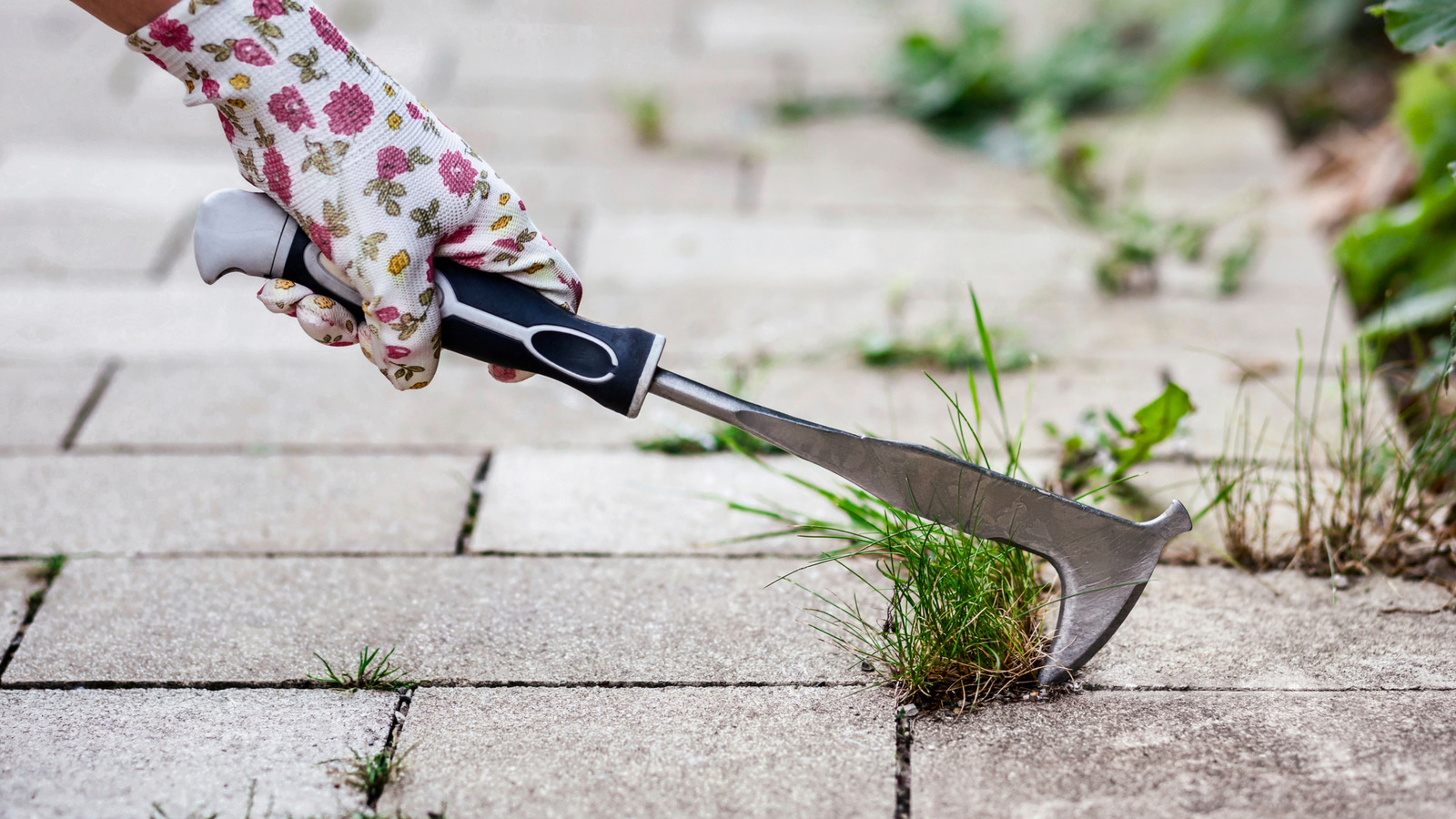 How To Keep Weeds From Growing Between Pavers With One Simple Solution