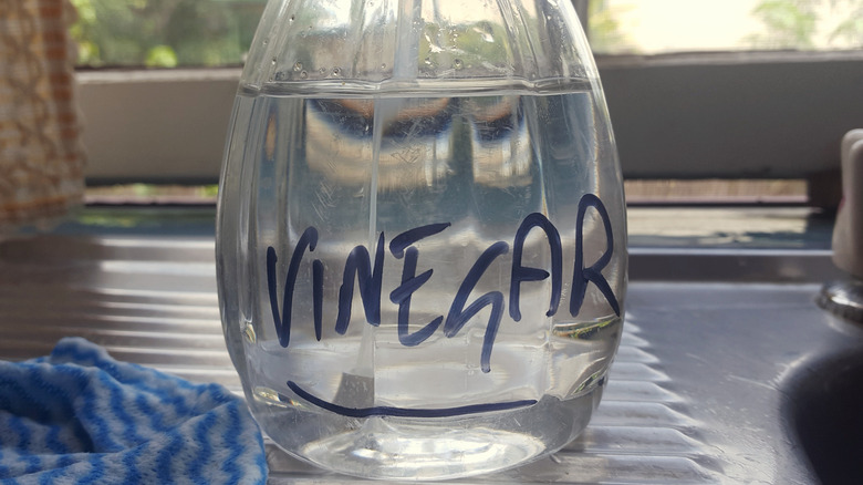 How To Clean The Exterior Of A Glass Oven Door With Vinegar