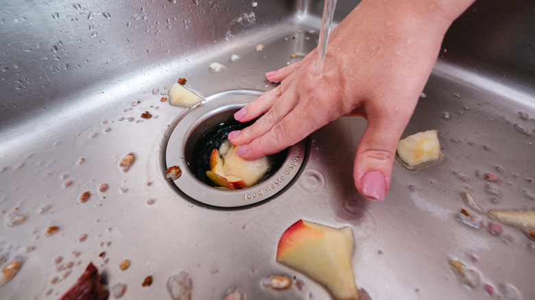 This Is What Happens If You Use Your Garbage Disposal Without Running Water