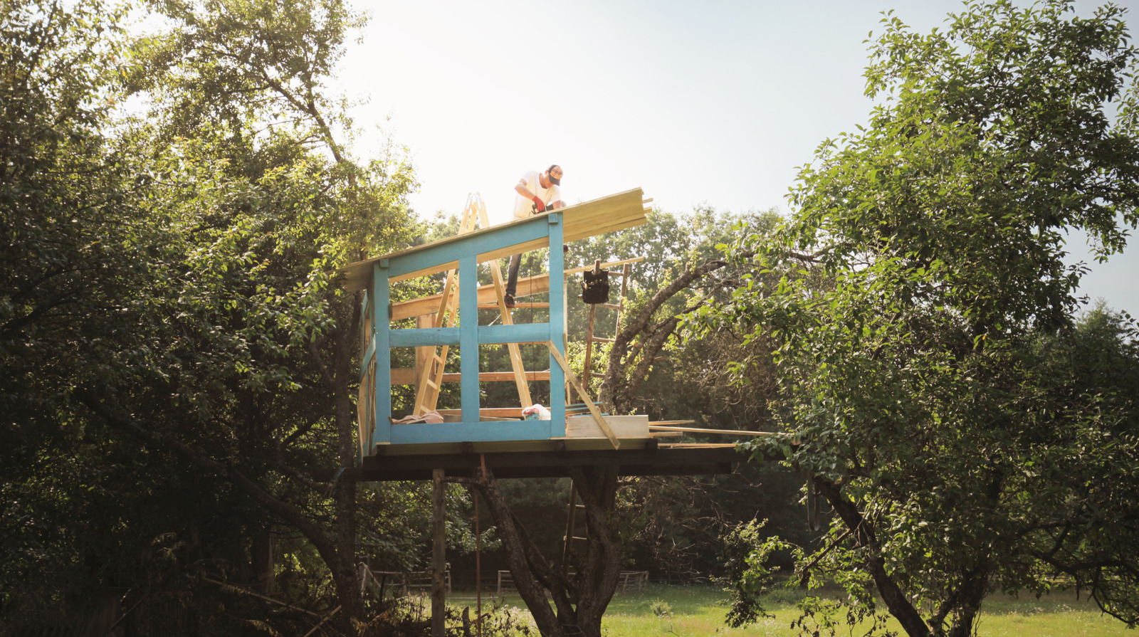 Tips For Building The Treehouse Of Your Dreams (Without Breaking The Bank)