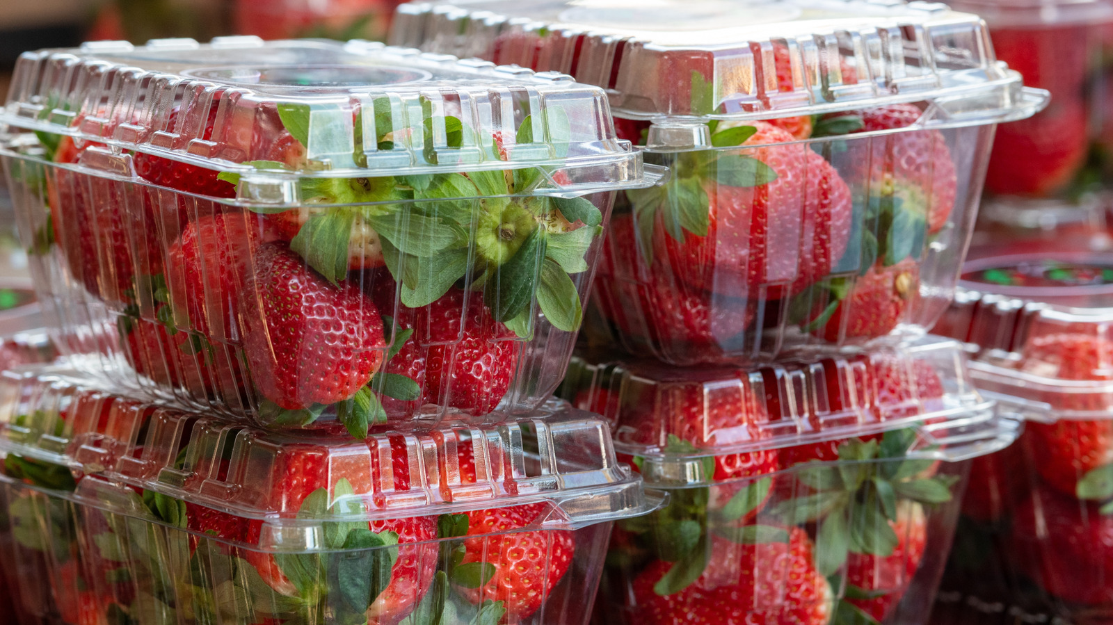 Transform An Old Plastic Fruit Container Into A Quaint Kitchen Herb Garden