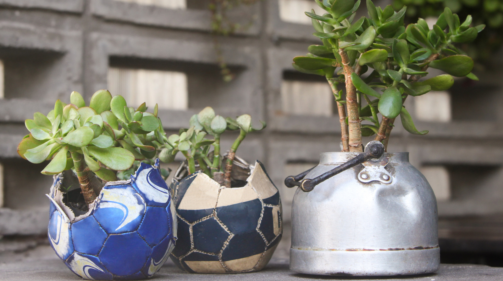 Unique Ways To Reuse 13 Old Household Items In Your Garden
