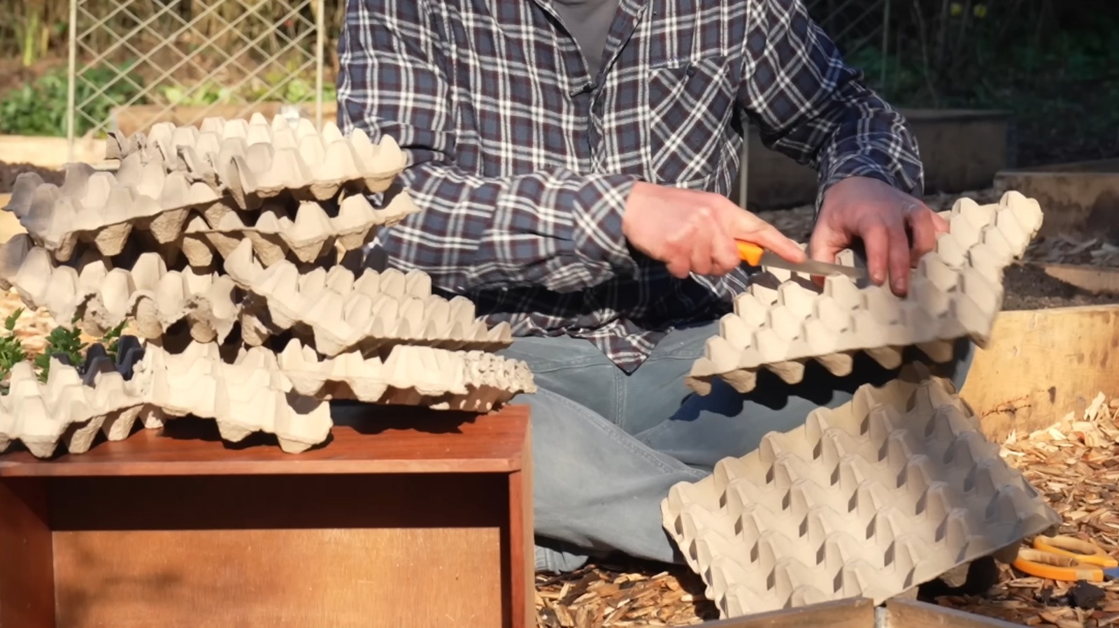 Why Egg Cartons Are A Smart Addition To Your Flowerpots And Planters