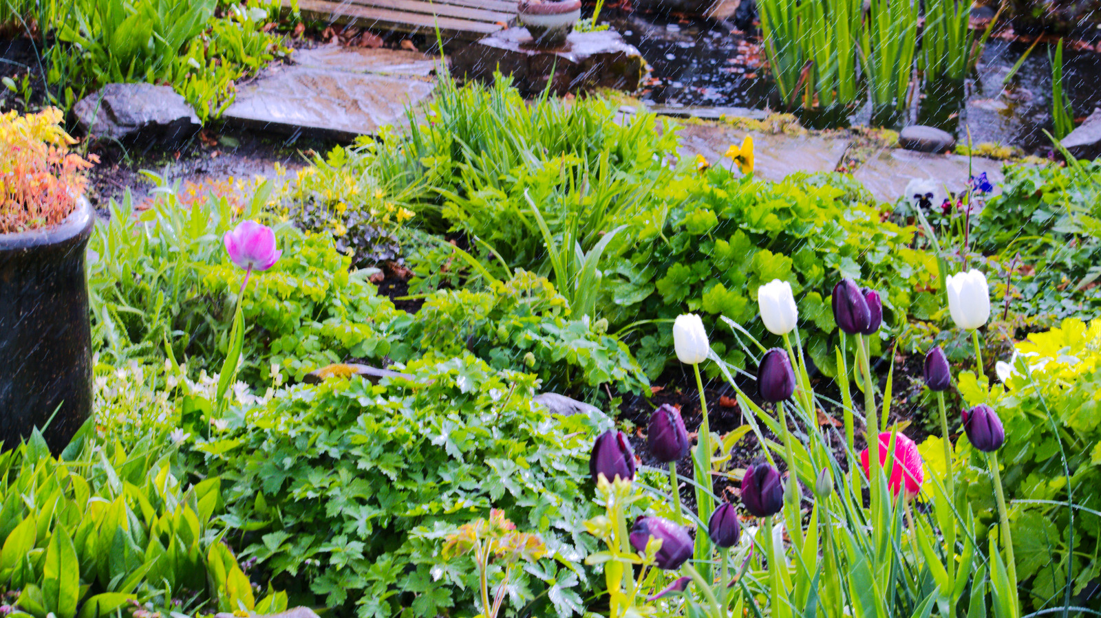 Backyard Rainscaping: Upgrade Your Space And Handle Rain