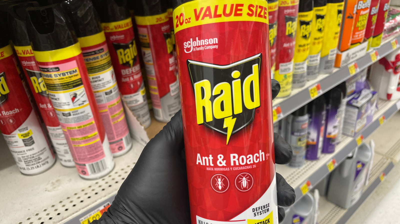 Issues To Know About Before Using Raid Spray To Bug-Proof Your Home